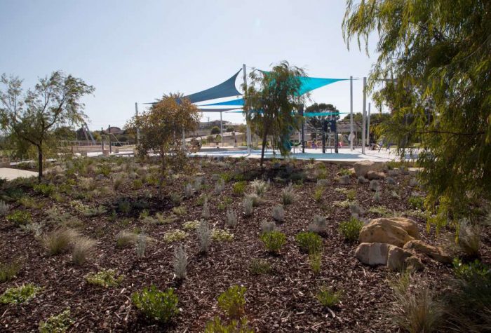 Planting : Total Landscape Redevelopment Services